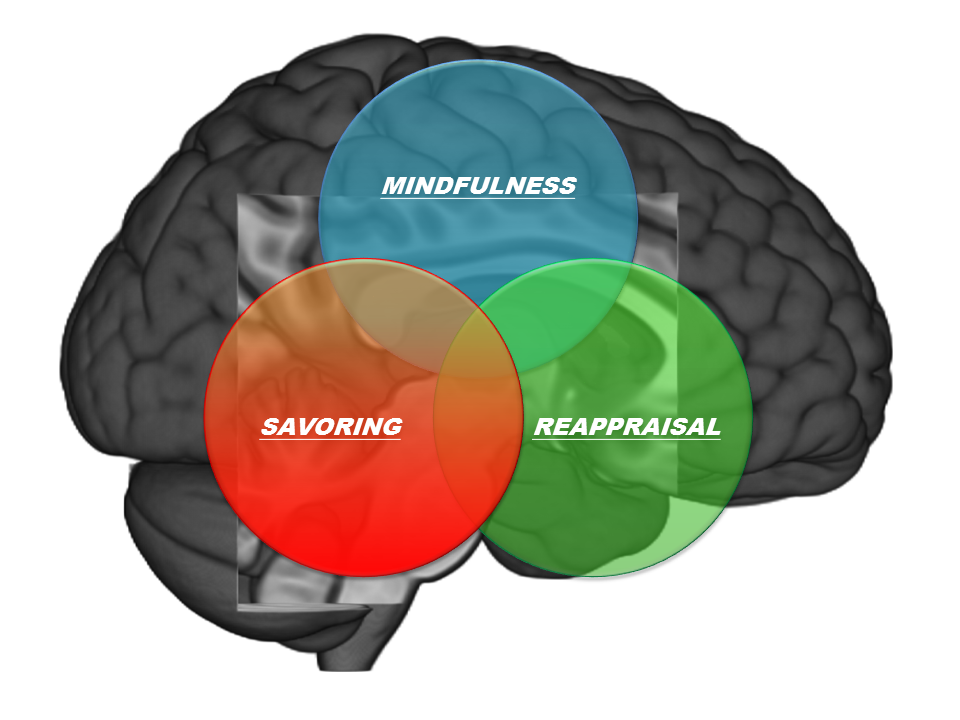 MORE Basic Training Workshop | Eric Garland, PhD, LCSW